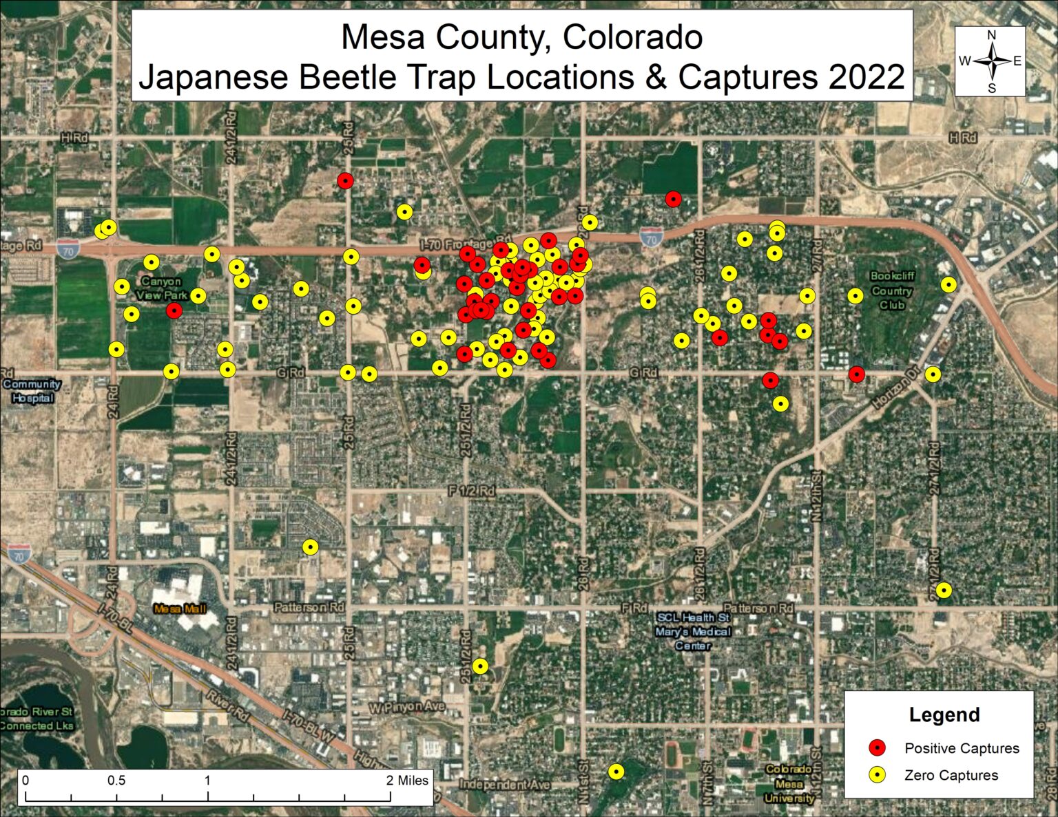 Japanese Beetle in Mesa County – Western Colorado Insects